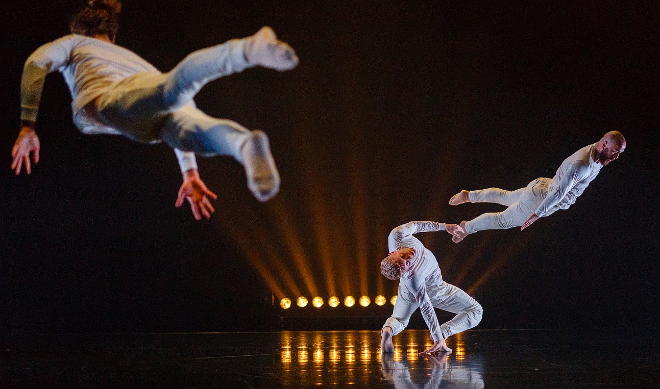 James Wilton brings his latest show LEVIATHAN to Contact - Black ...