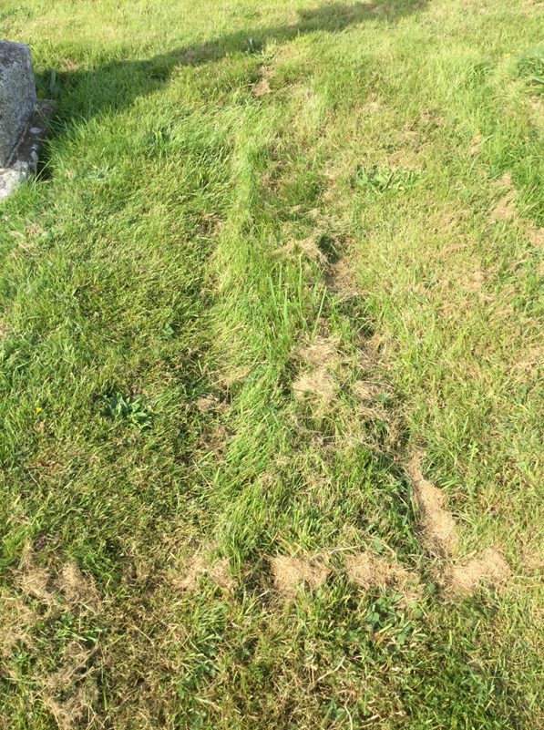 Remembering John Myers (1893-1915): - A Nigerian victim of the sinking ...