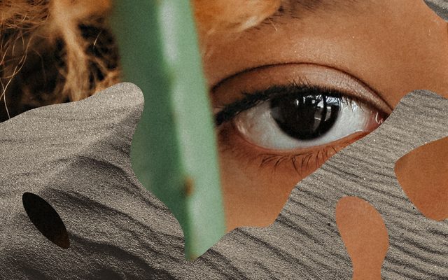 Alcina - Black History Month 2026