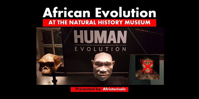 African Evolution - Black History Month 2025