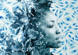 Family Tree - Black History Month 2025