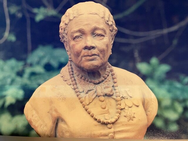 Mary Seacole: My Inalienable Right To Self-Identify - Black History ...